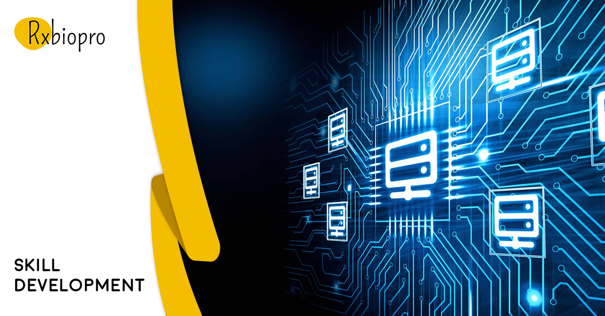 Skills Development Banner